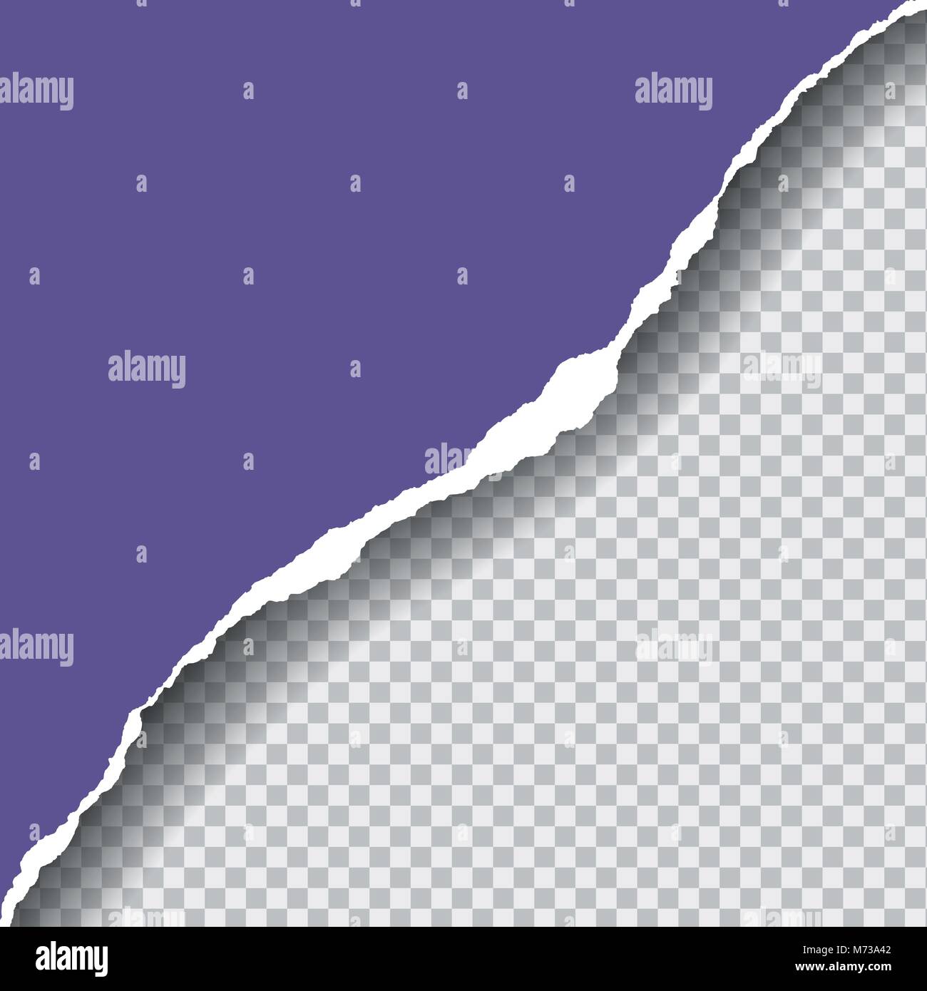 Realistic vector violet ripped paper with space for your text, isolated ...