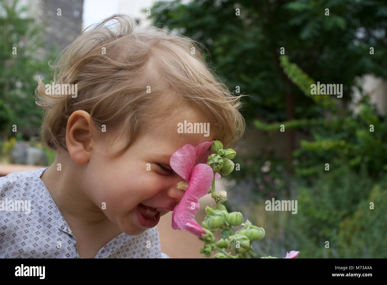 Plant senses hi-res stock photography and images - Alamy