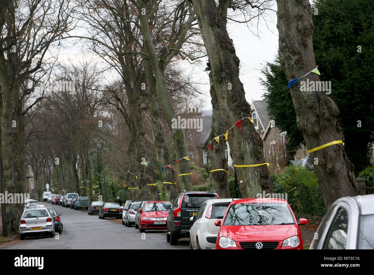 Sheffield trees cutting hi-res stock photography and images - Alamy
