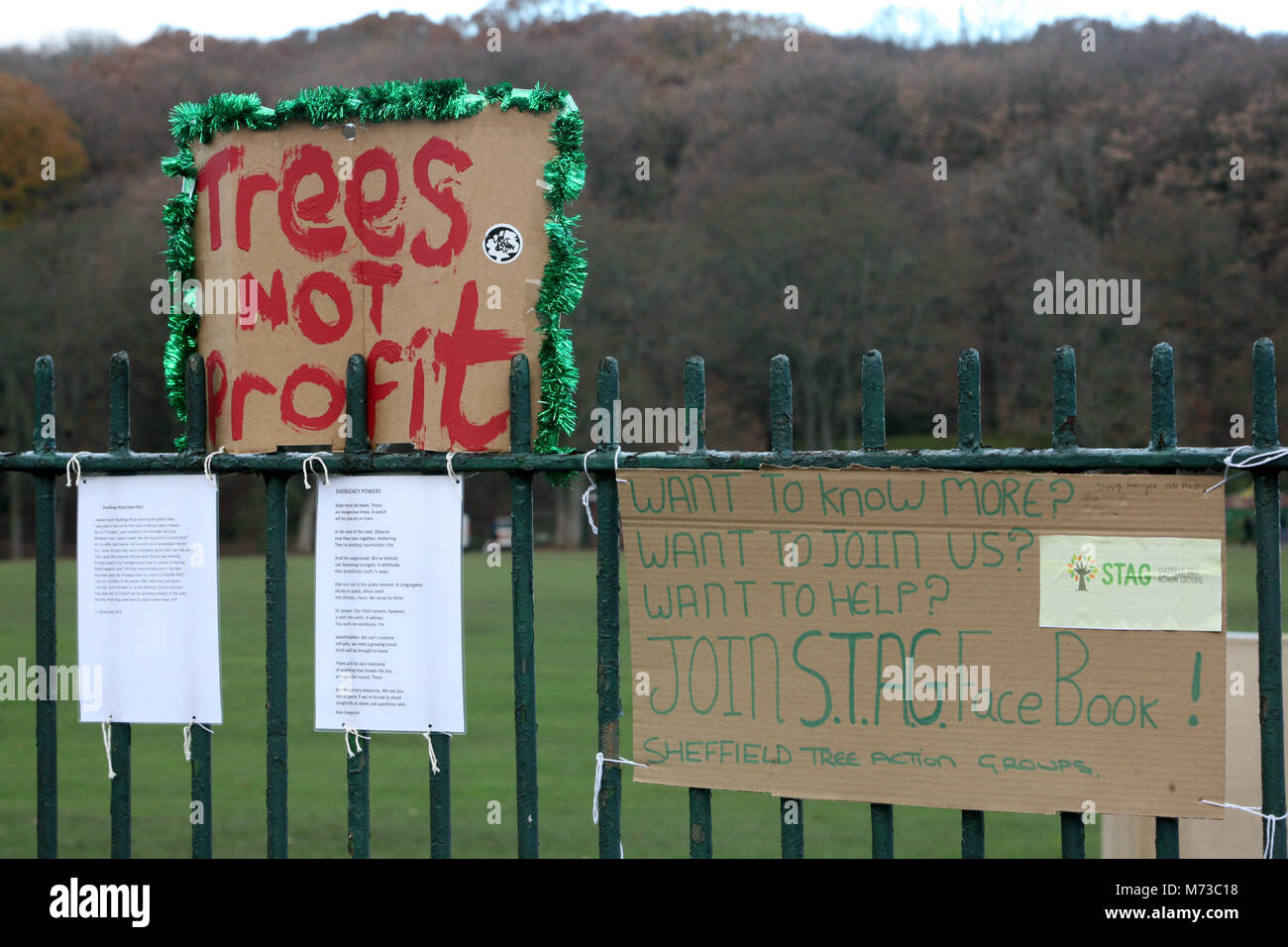 Rustlings Road were Sheffield City councils' authorised contractor Amey ...