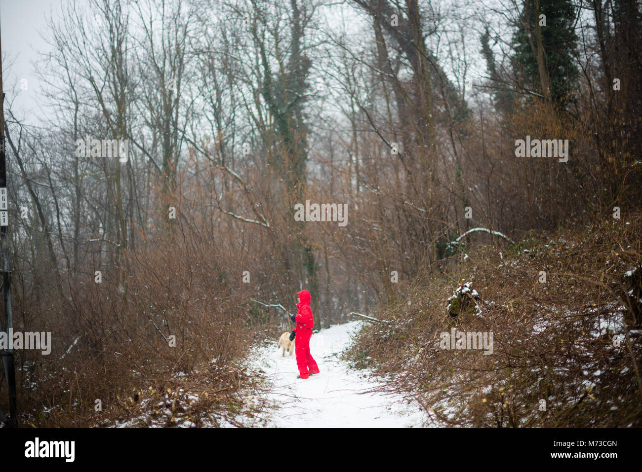teenager with red winter dress walks in snowy path in the woods Stock ...