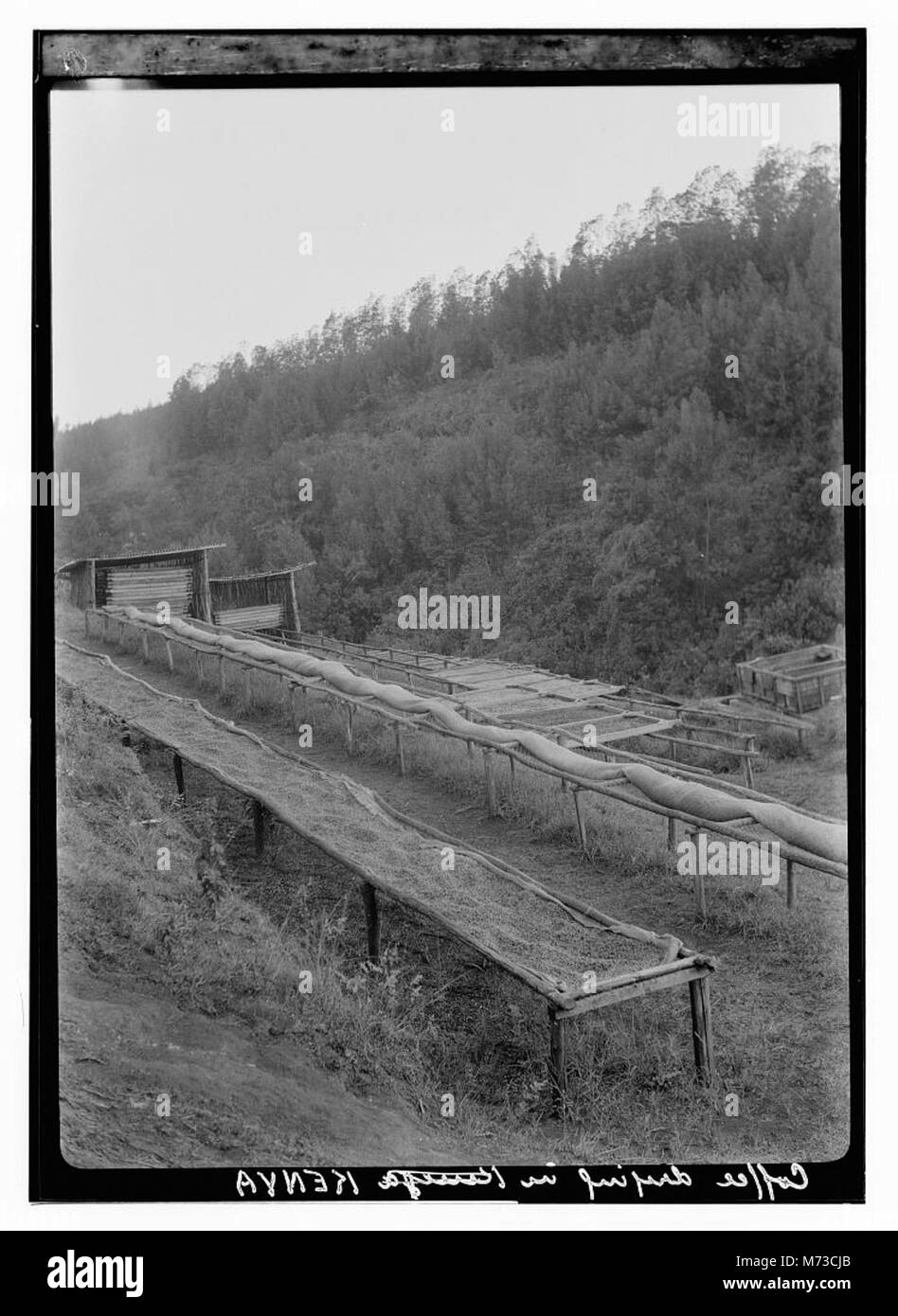 Before coffee Black and White Stock Photos & Images - Alamy