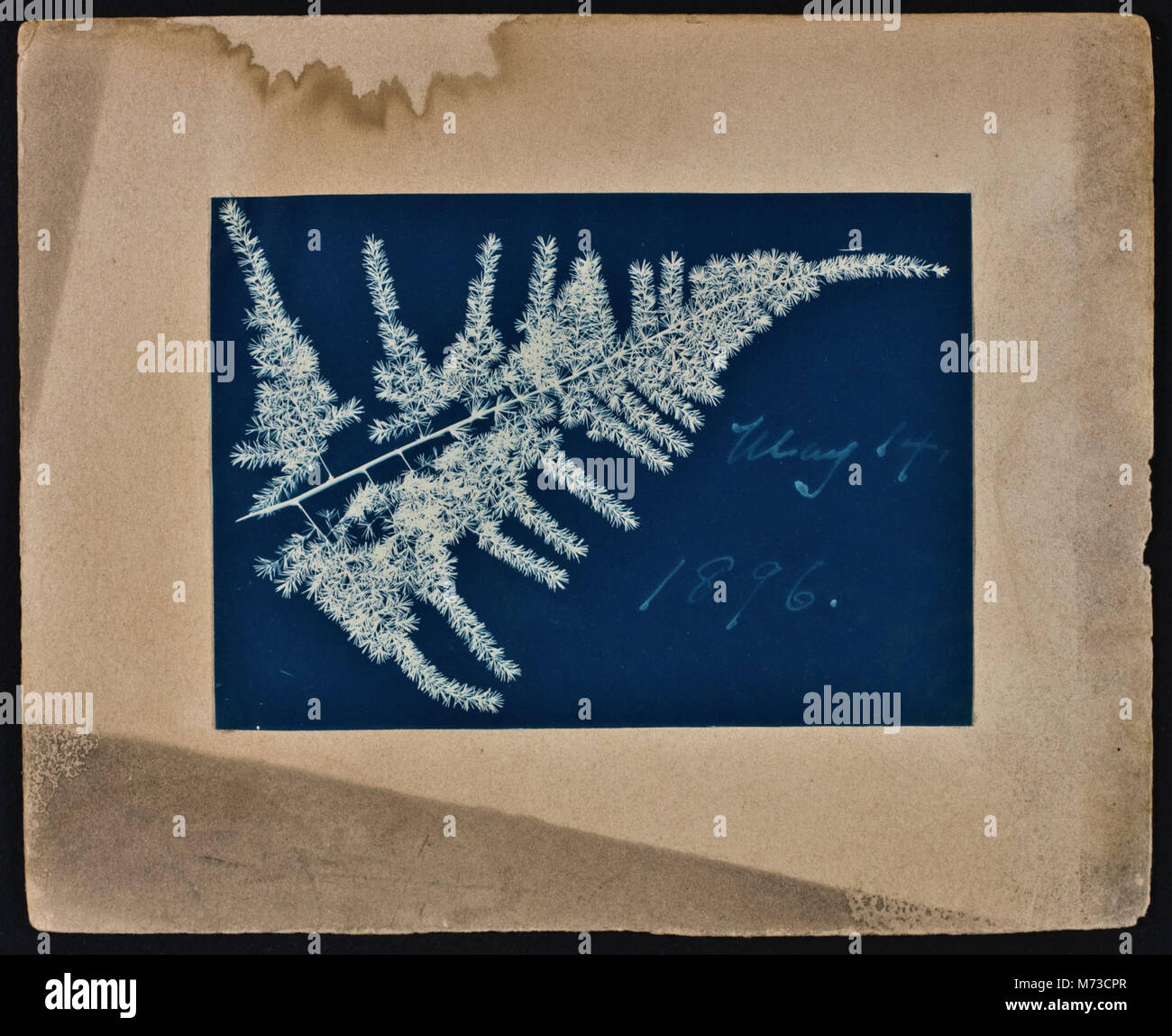 A collection of blueprint photographs depicting Native American scenes ...