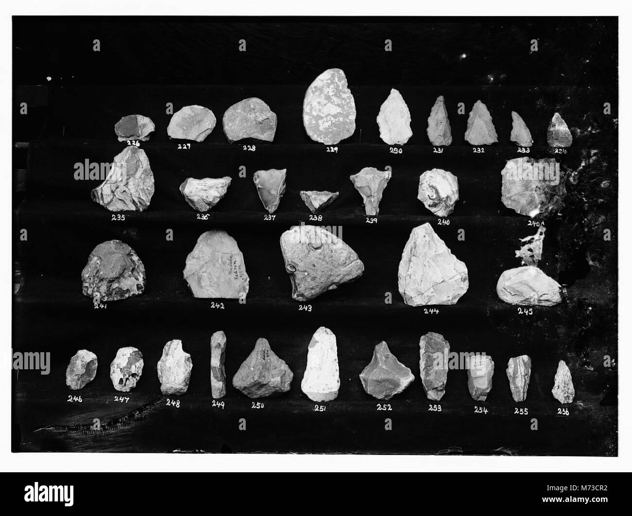 A collection of flints, an essential tool in early human history used ...