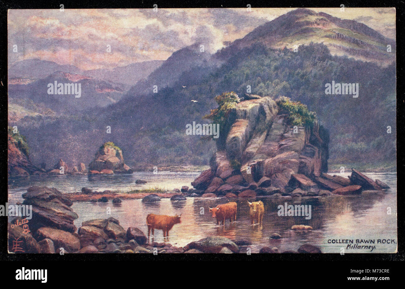 Colleen Bawn Rock, located in the vicinity of the famed Colleen Bawn ...