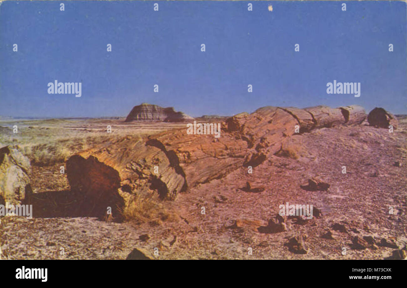 A photograph of the Petrified Forest National Monument in Adamana ...