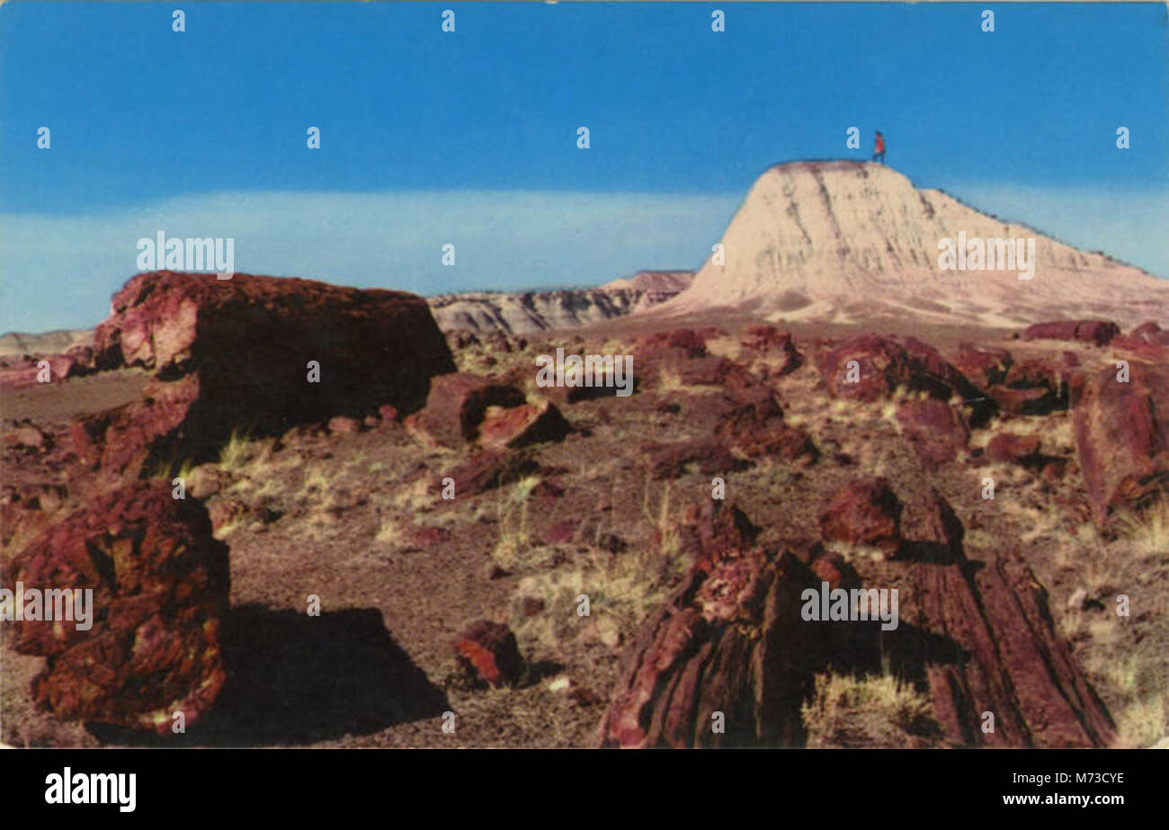 The Petrified Forest National Monument in Adamana, Arizona, is a unique ...