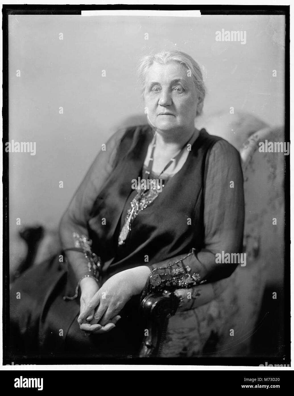 A portrait of Jane Adams, a significant historical figure known for her ...