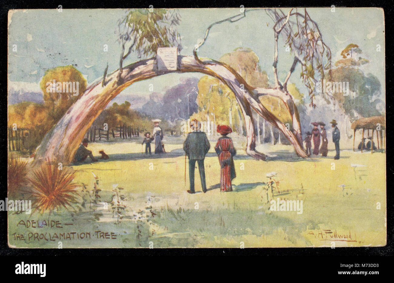 The Proclamation Tree in Adelaide, marking a historic site where ...
