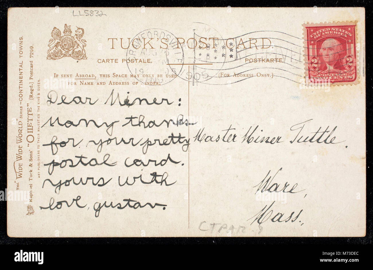 This image shows the Proclamation Tree in Adelaide, a historically ...