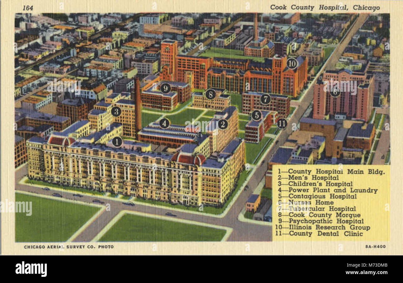 A historical photograph of Cook County Hospital, an iconic medical ...