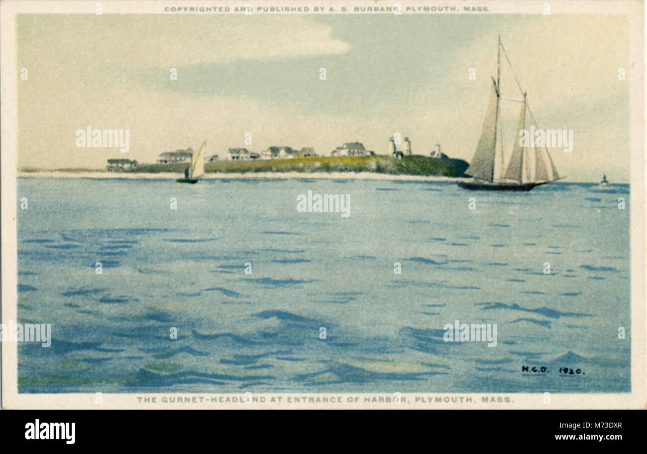 Gurnet hi-res stock photography and images - Alamy