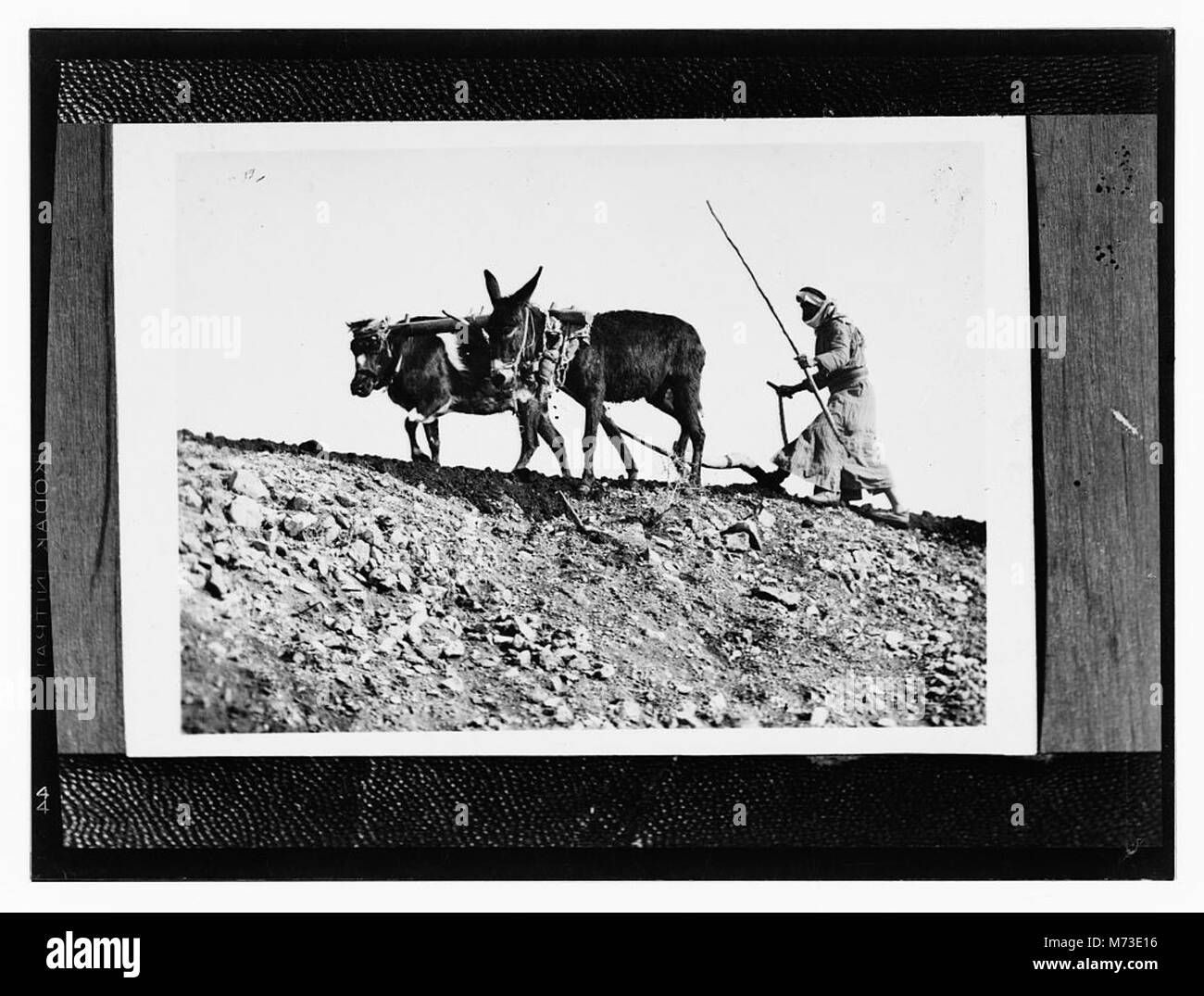 Old arab man Cut Out Stock Images & Pictures - Alamy