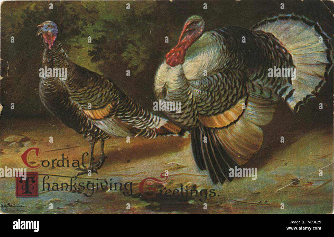 An illustration depicting two turkeys with a festive Thanksgiving ...