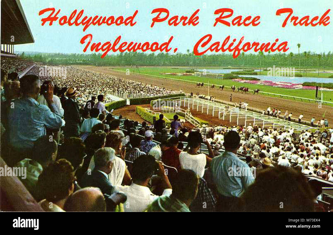 This image depicts a crowded scene at the Hollywood Park Race Track ...