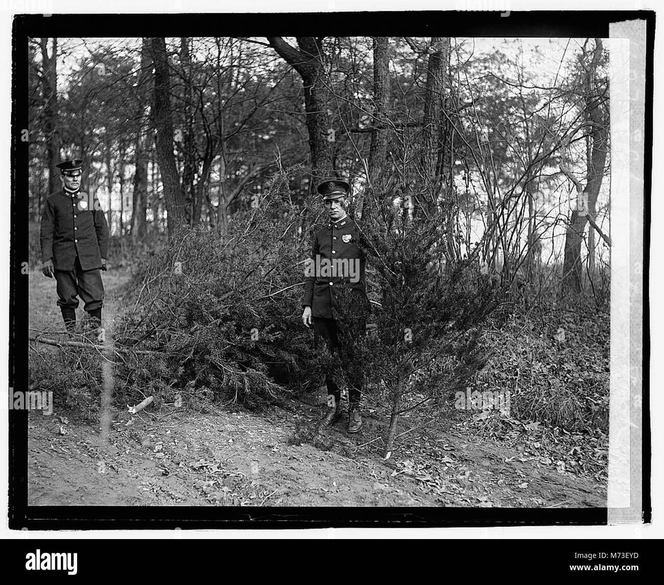 Popular for cutting Black and White Stock Photos & Images - Alamy