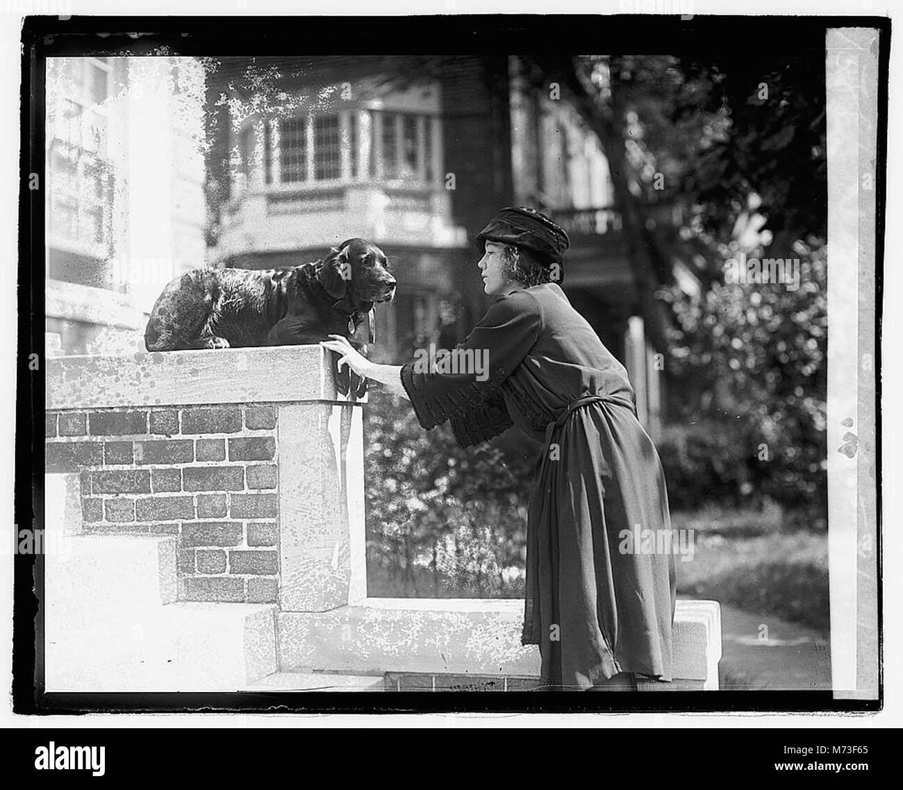 Hyle hi-res stock photography and images - Alamy