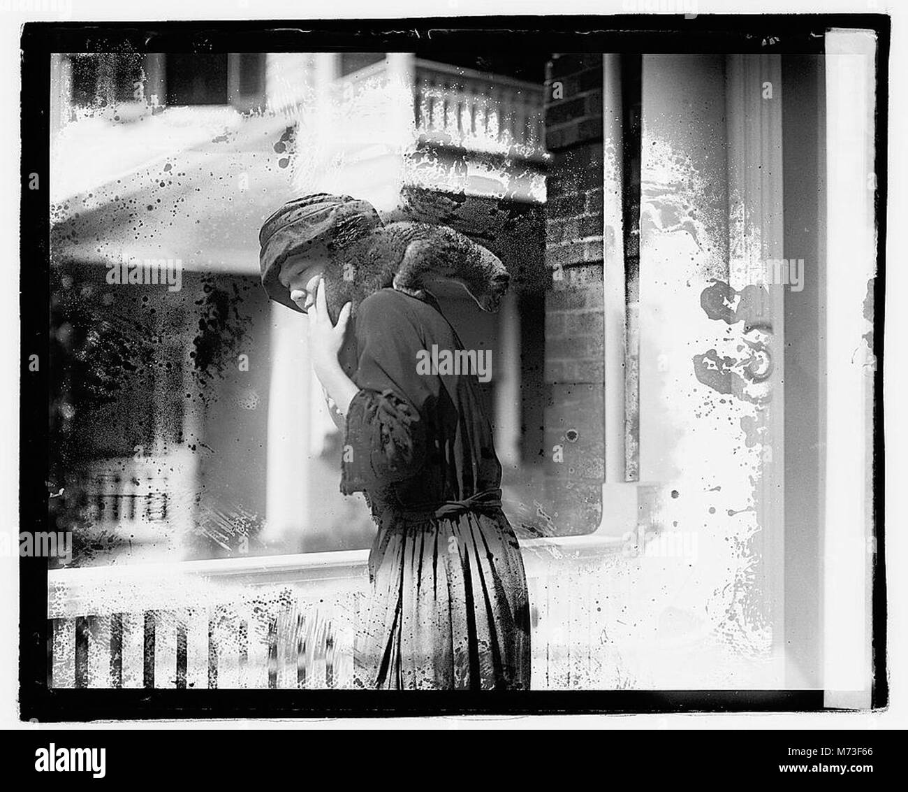 Hyle Stock Photos & Hyle Stock Images - Alamy