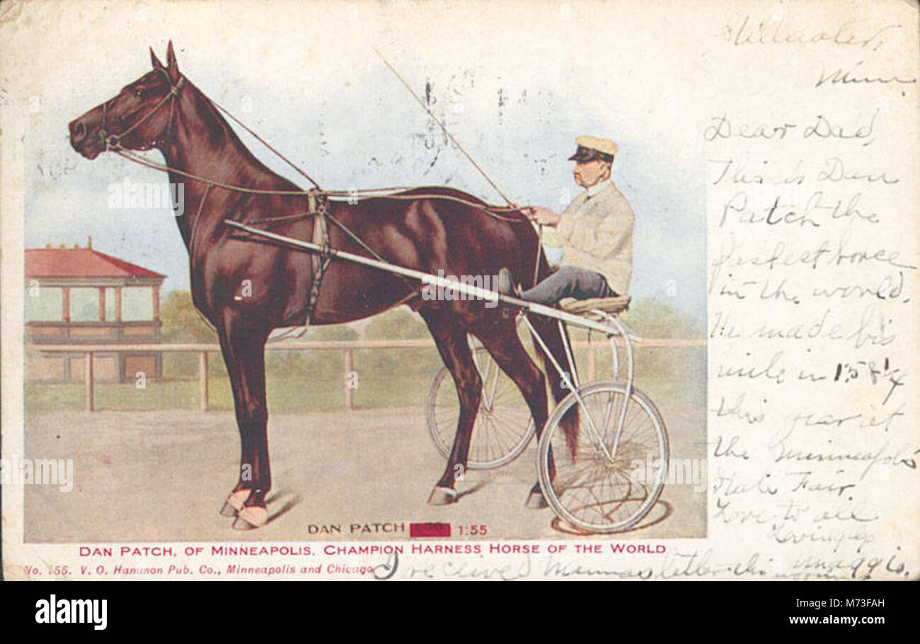 Dan Patch Horse High Resolution Stock Photography and Images - Alamy