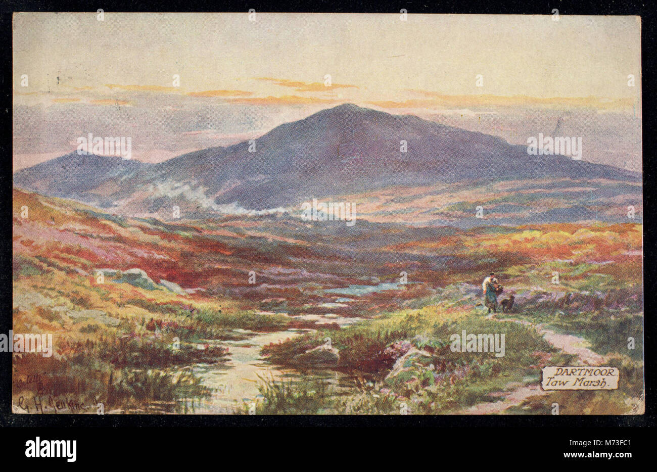 A view of Taw Marsh in Dartmoor, England, showcasing the natural ...