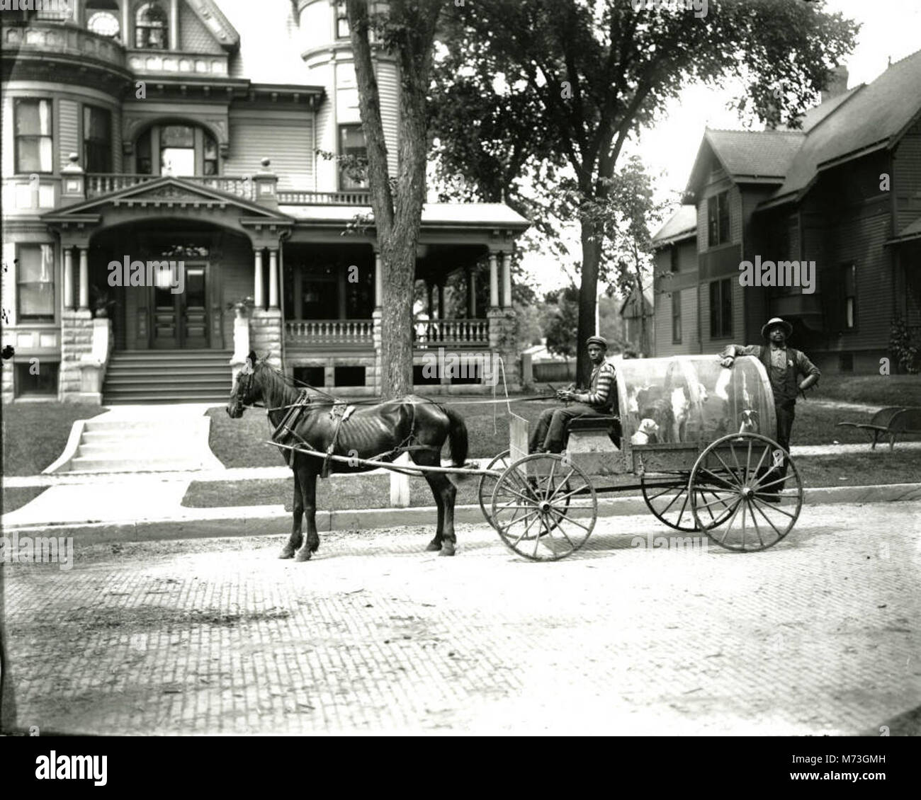 This photograph captures dogcatchers working on Tompkins Street ...