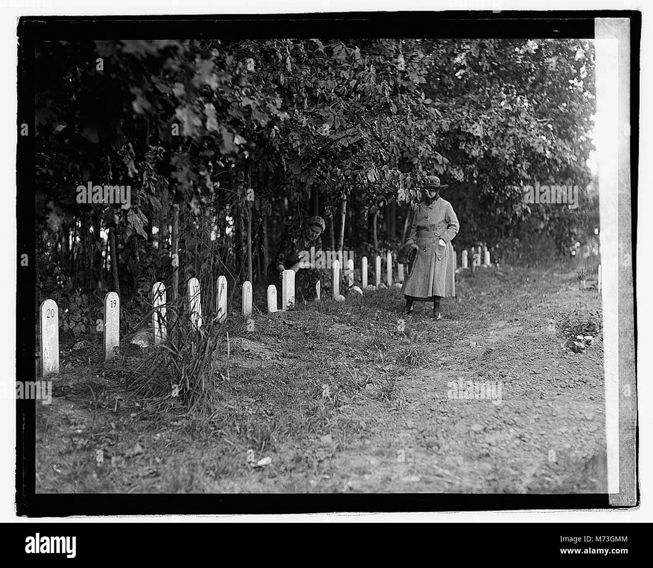 This photograph depicts a dog cemetery, a burial site dedicated to dogs ...
