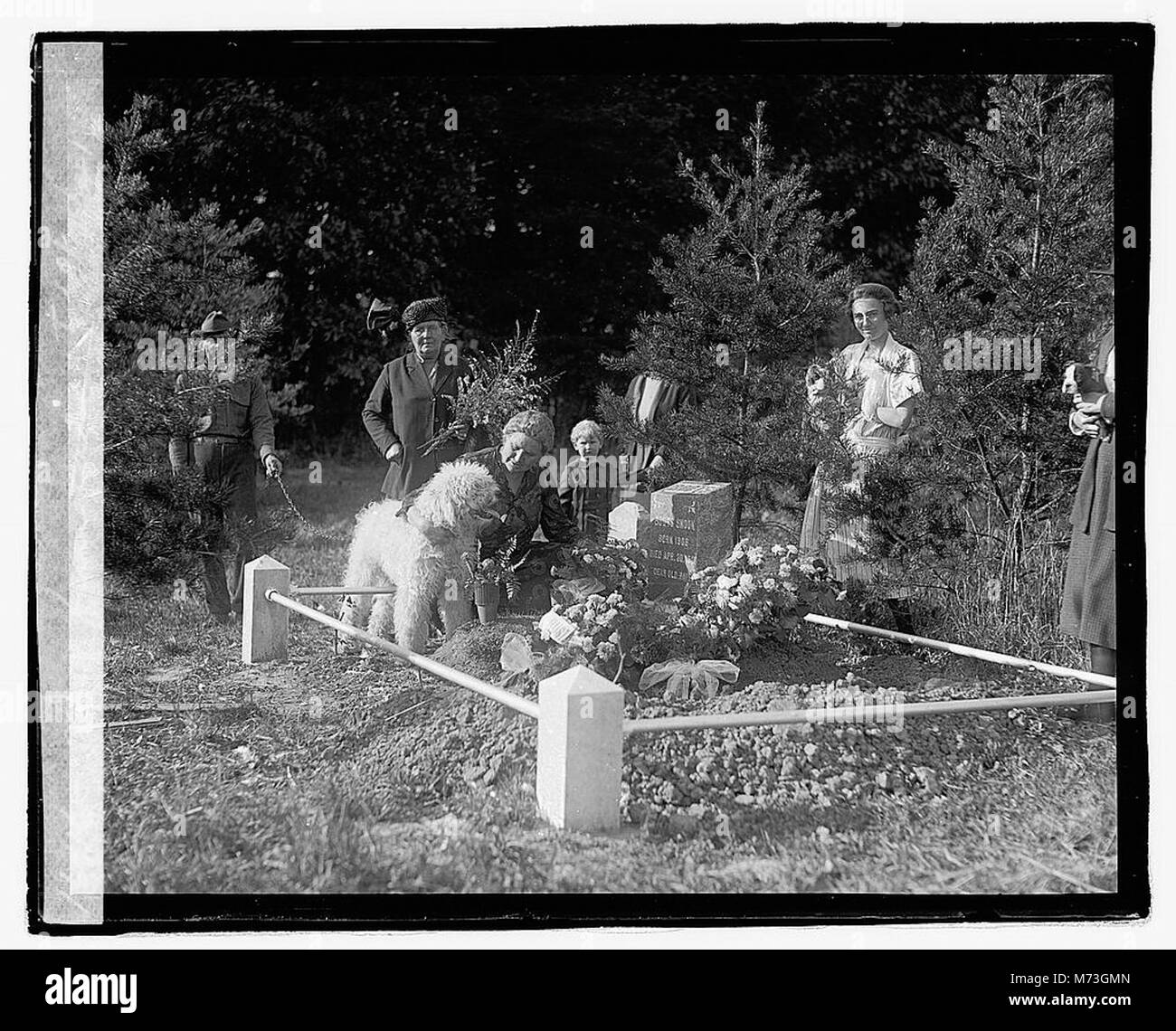 A photograph documenting a dog funeral held on October 7, 2021. The ...