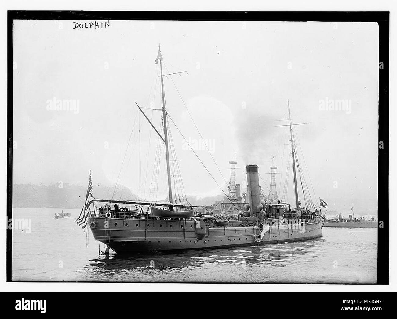 This photograph depicts a dolphin, showcasing its characteristics and ...