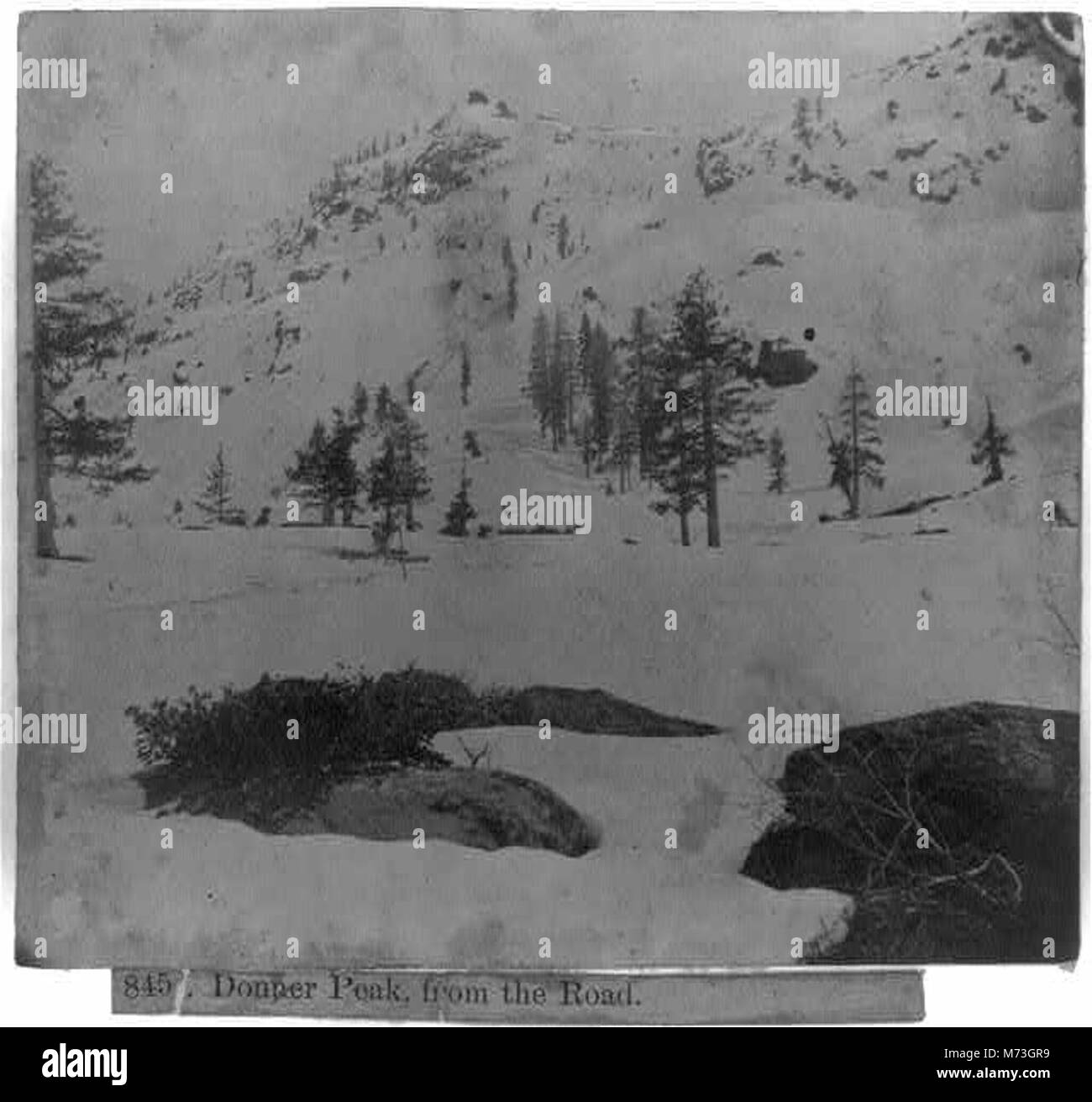 A scenic view of Donner Peak, located in the Sierra Nevada, taken from ...