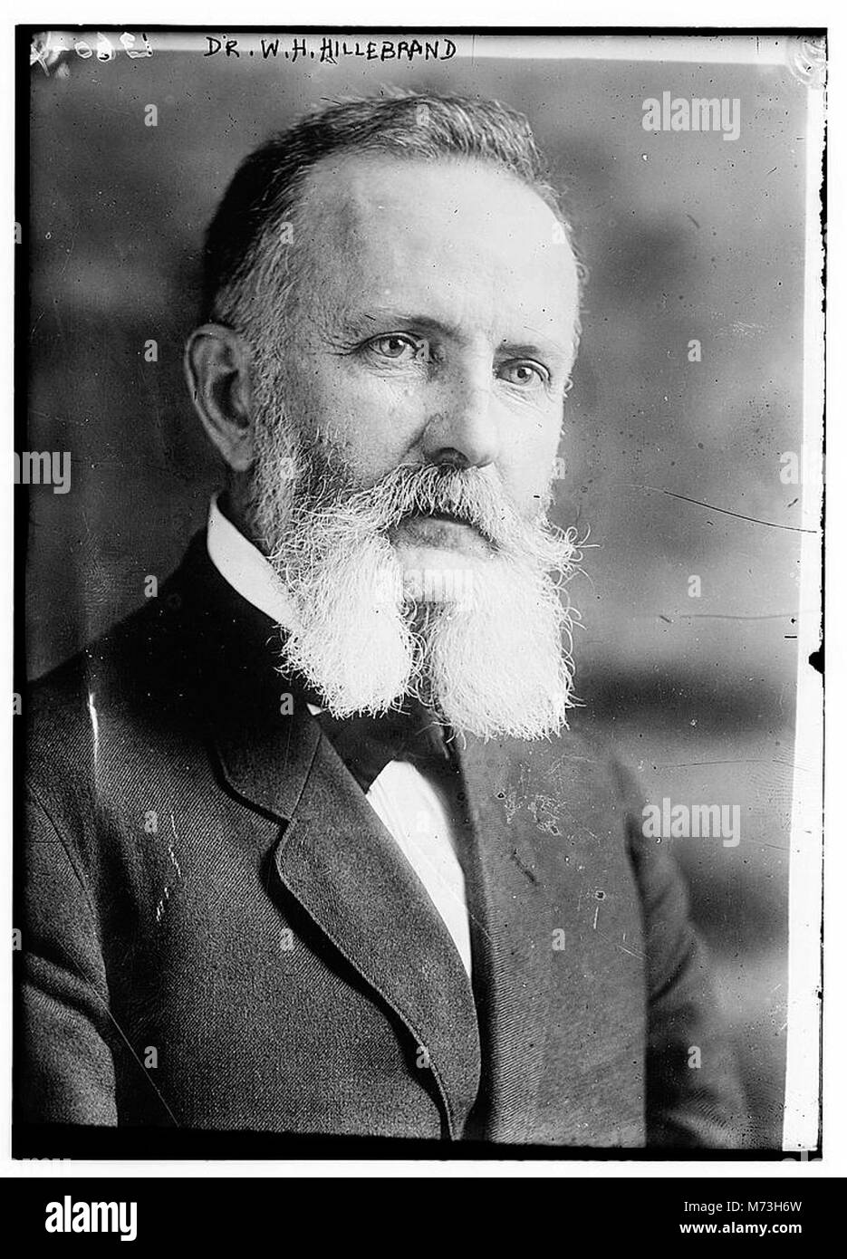 A portrait of Dr. W.H. Hillebrand, a distinguished figure in his field ...