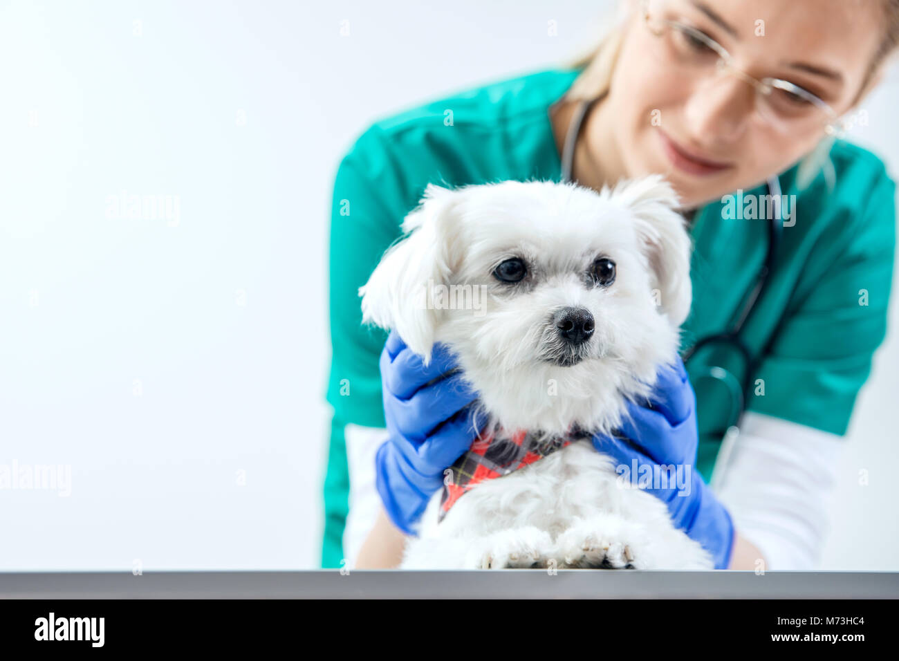 Female dog female doctor hi-res stock photography and images - Alamy