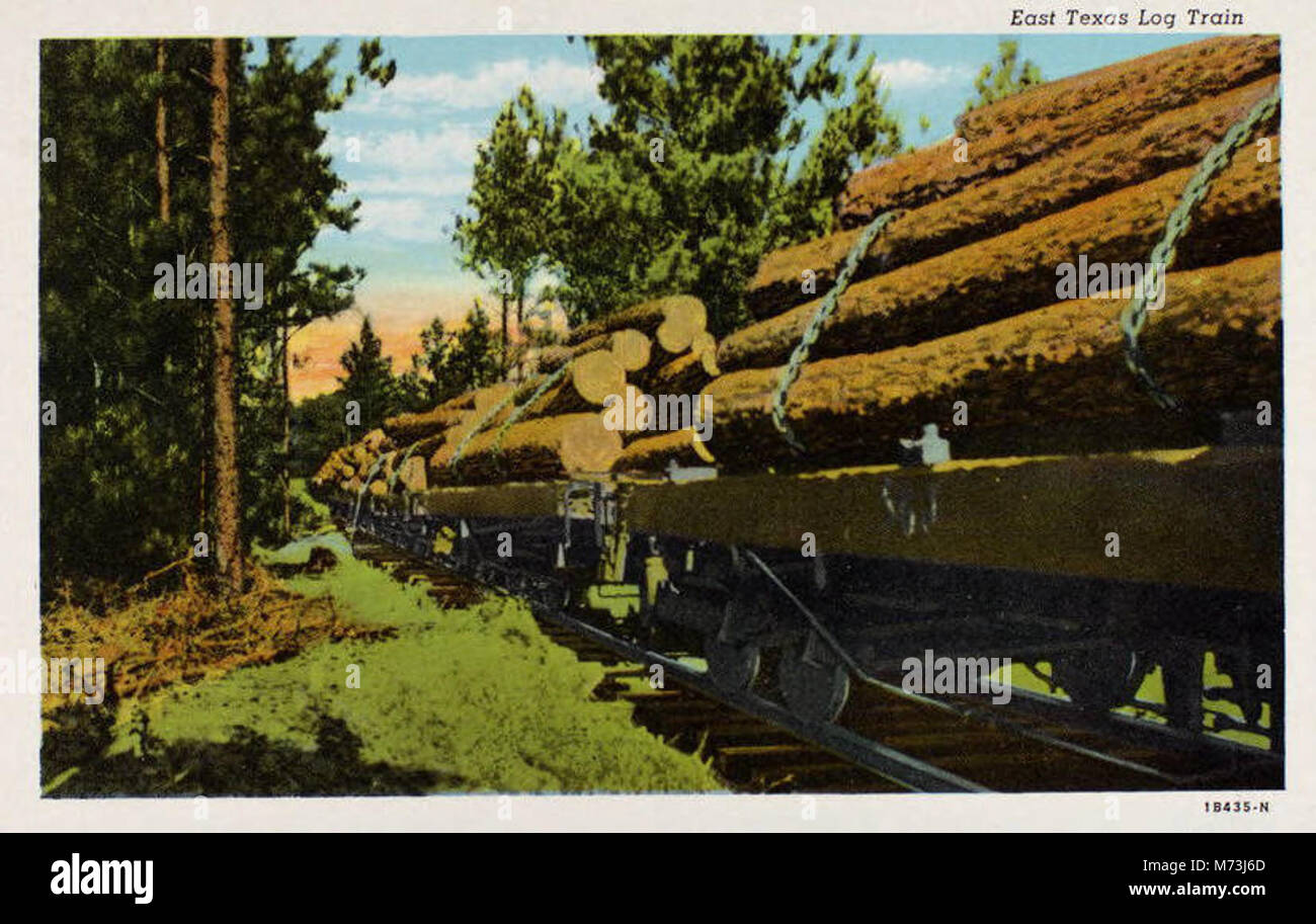 A photograph of a log train operating in East Texas, showcasing the ...