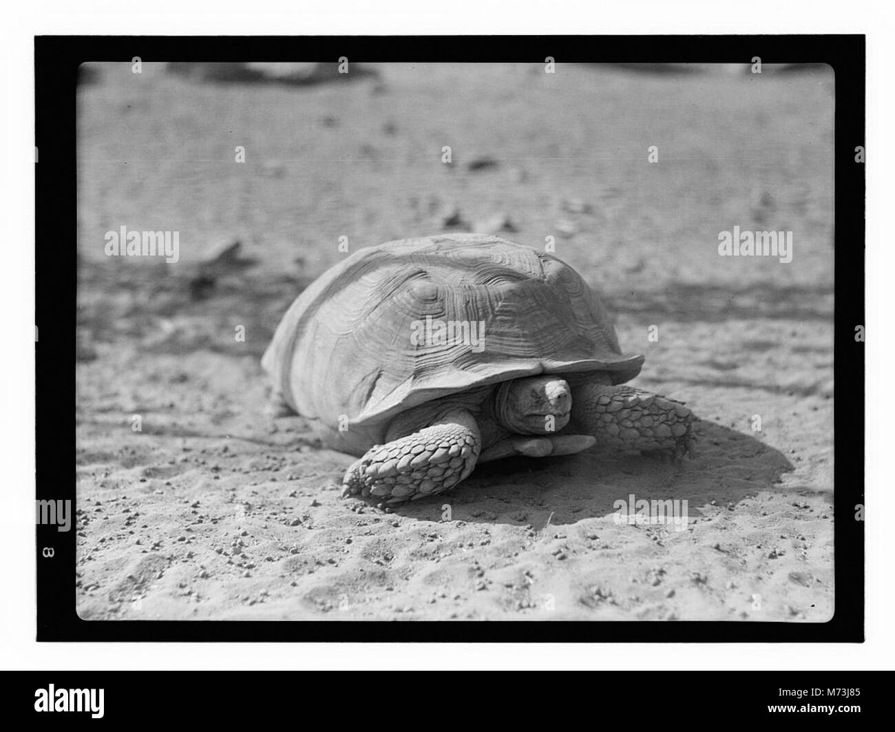 Key geographical features Cut Out Stock Images & Pictures - Alamy