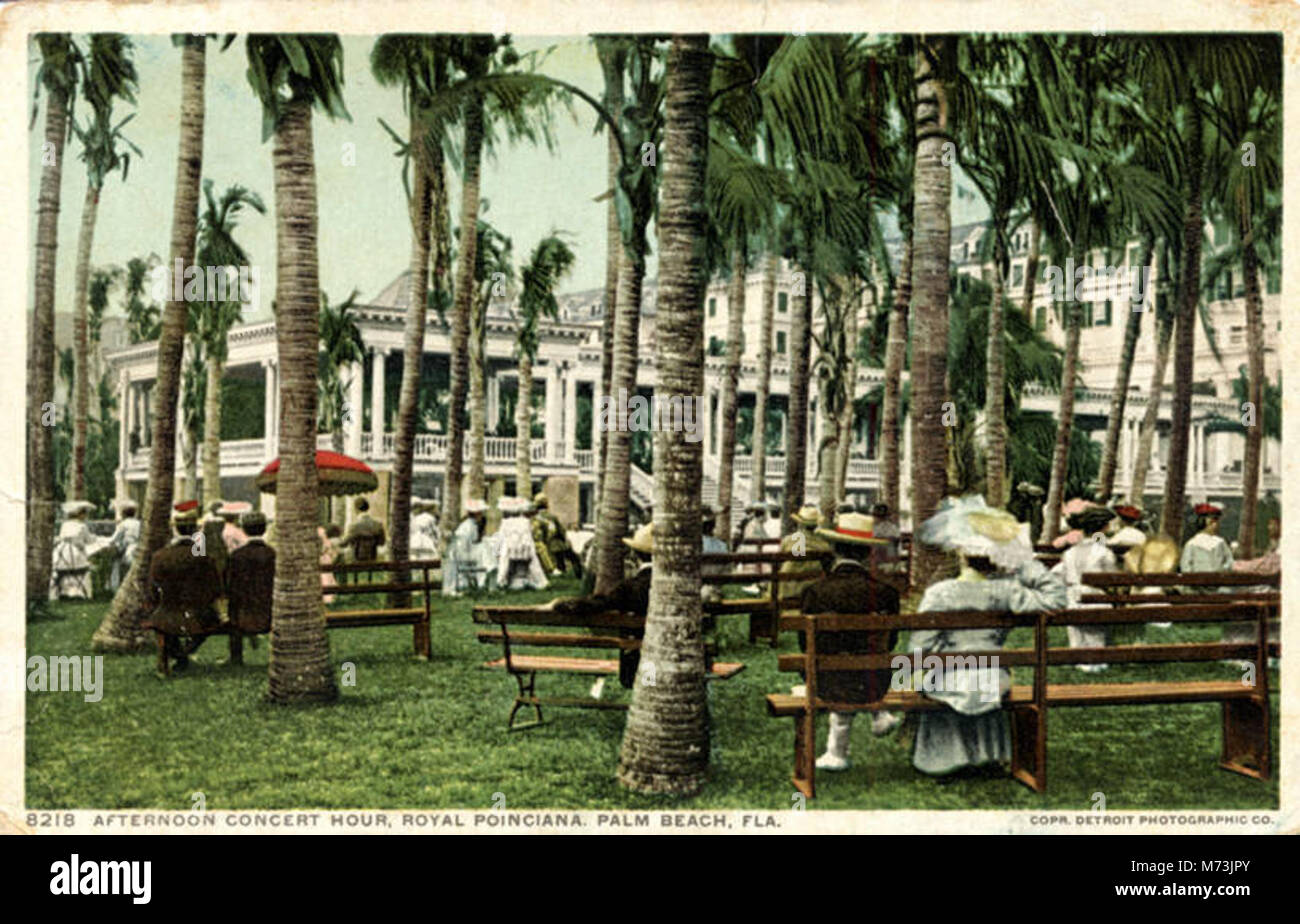 A photograph capturing the afternoon concert hour at the Royal ...
