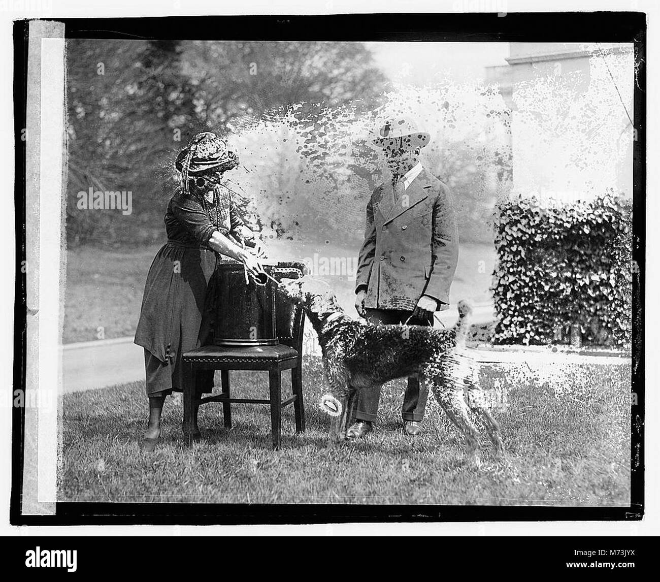 A historical portrait of Elizabeth Swaffield, captured in a ...