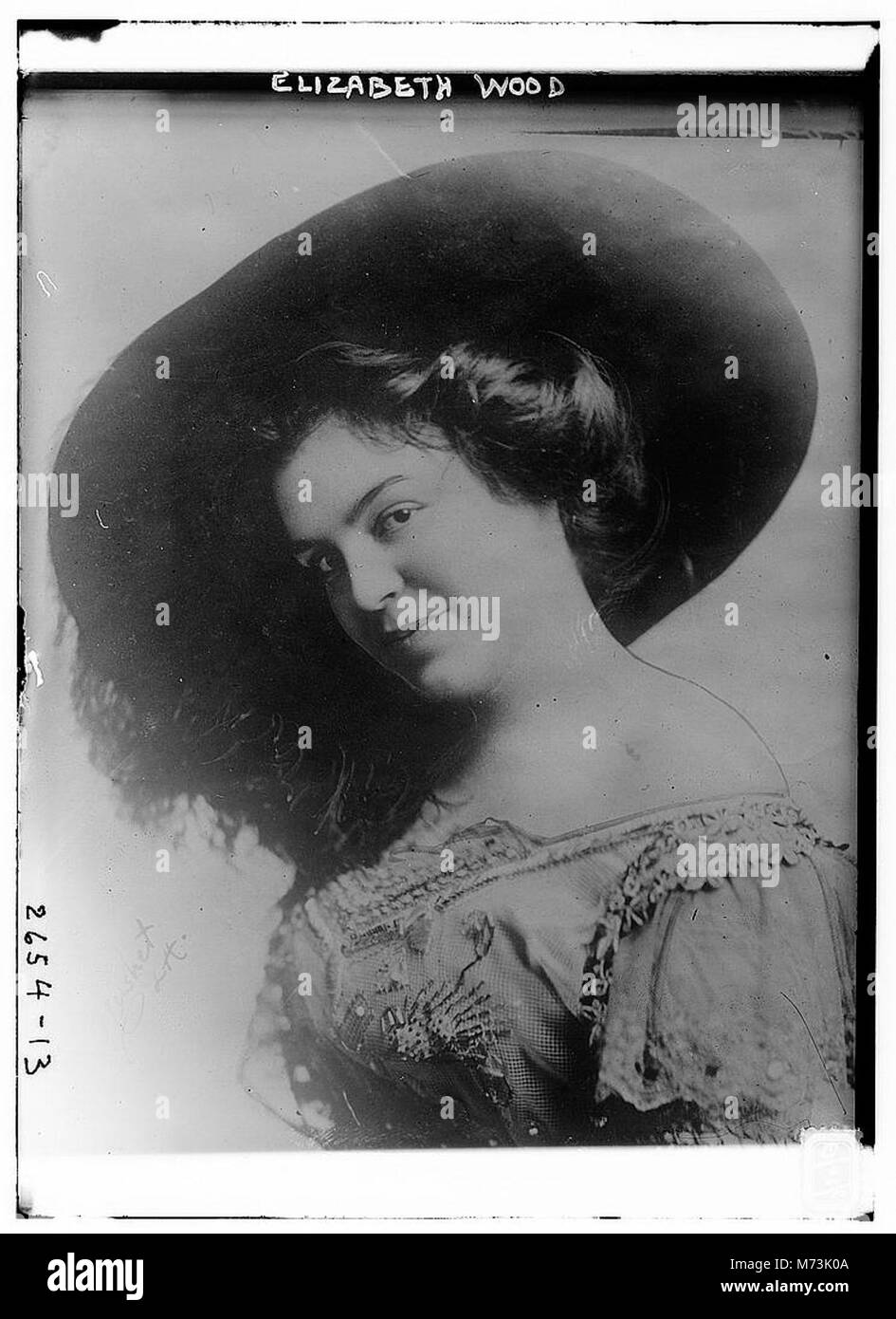 A portrait of Elizabeth Wood, capturing her social stature and ...