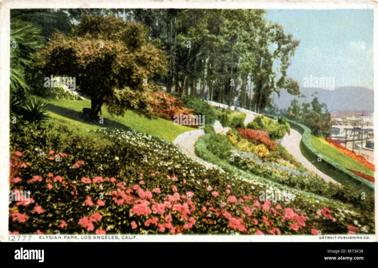 A photograph of Elysian Park, a scenic location in Los Angeles ...