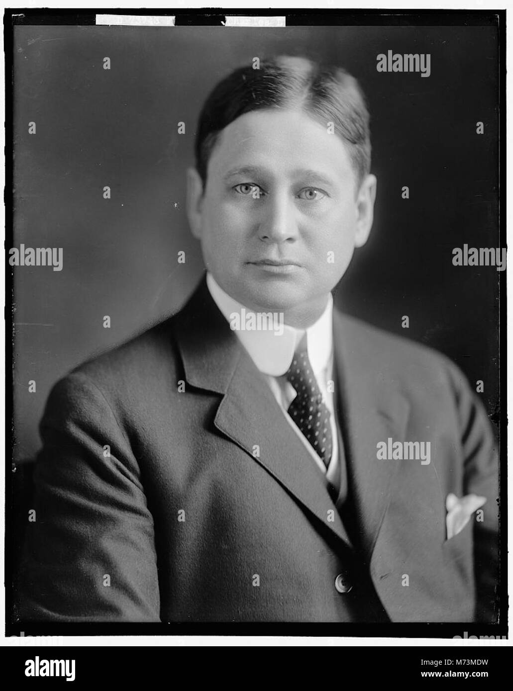 A formal portrait of Charles L. Faust, an honorable figure, captured in ...