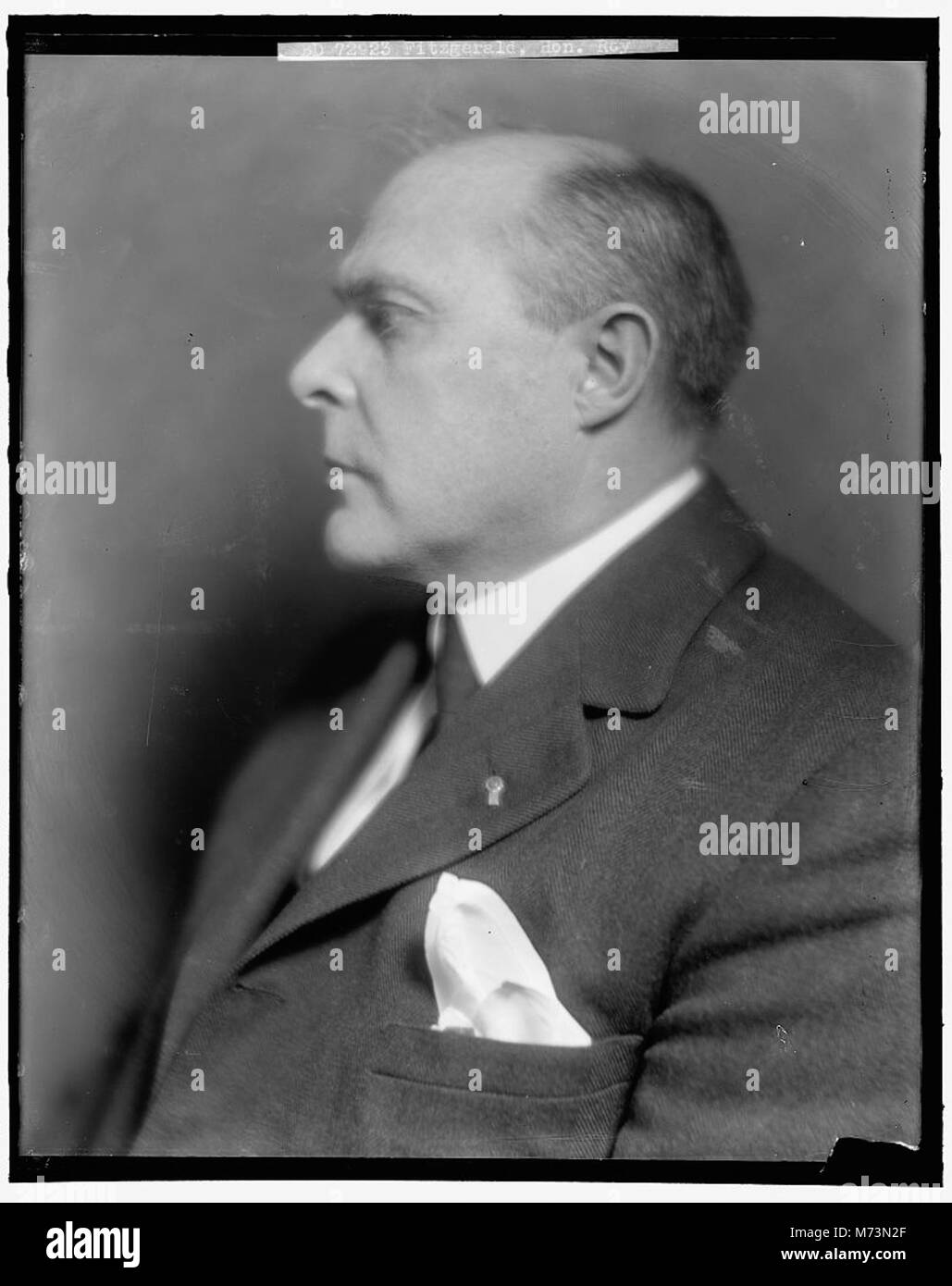 Roy Fitzgerald, Honorable, served in a distinguished capacity in ...