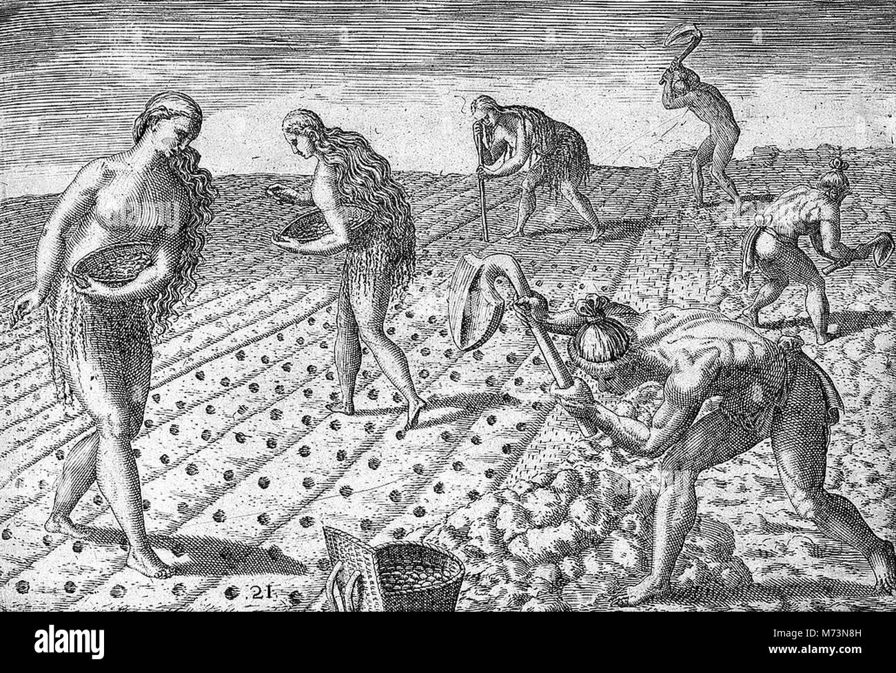 Native americans farming historical hi-res stock photography and images ...