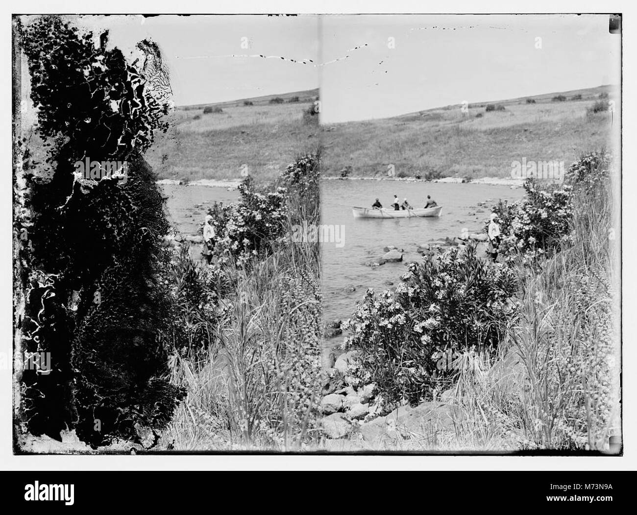 Natural look flowers Black and White Stock Photos & Images - Alamy