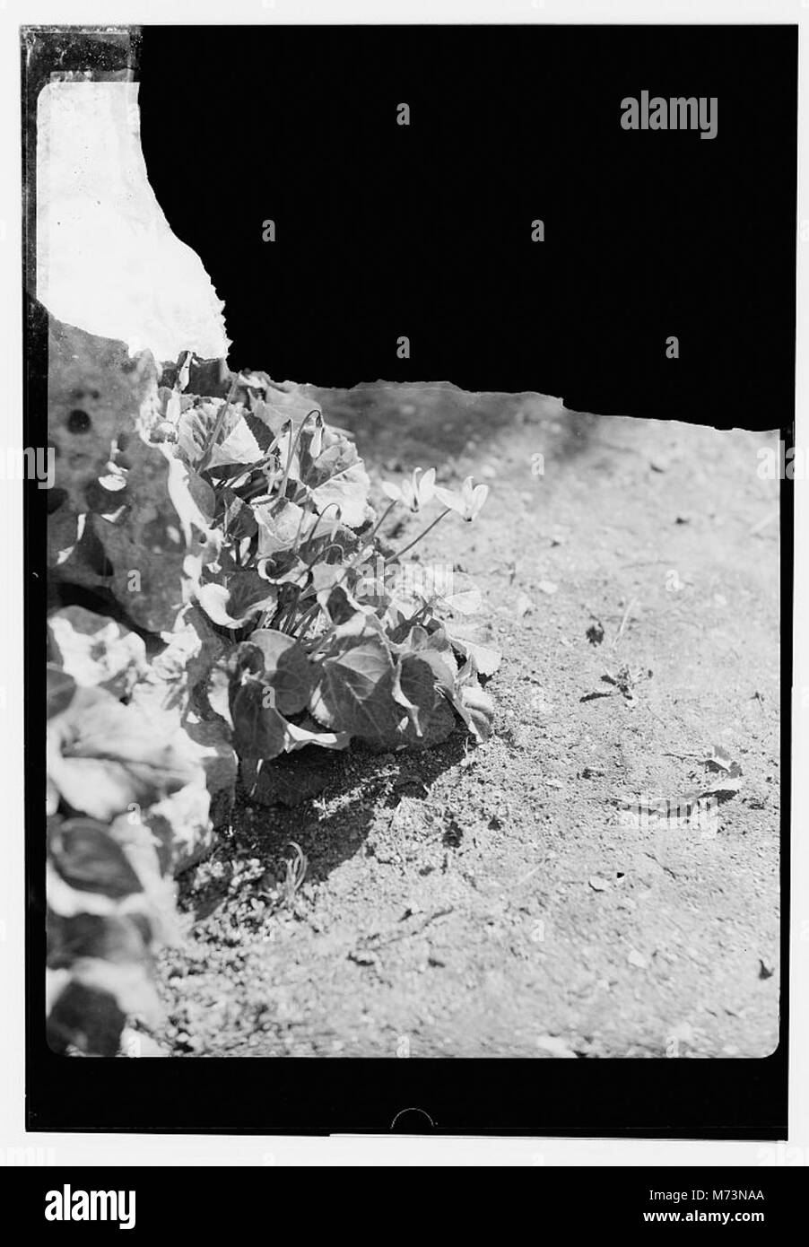 14023 hi-res stock photography and images - Alamy