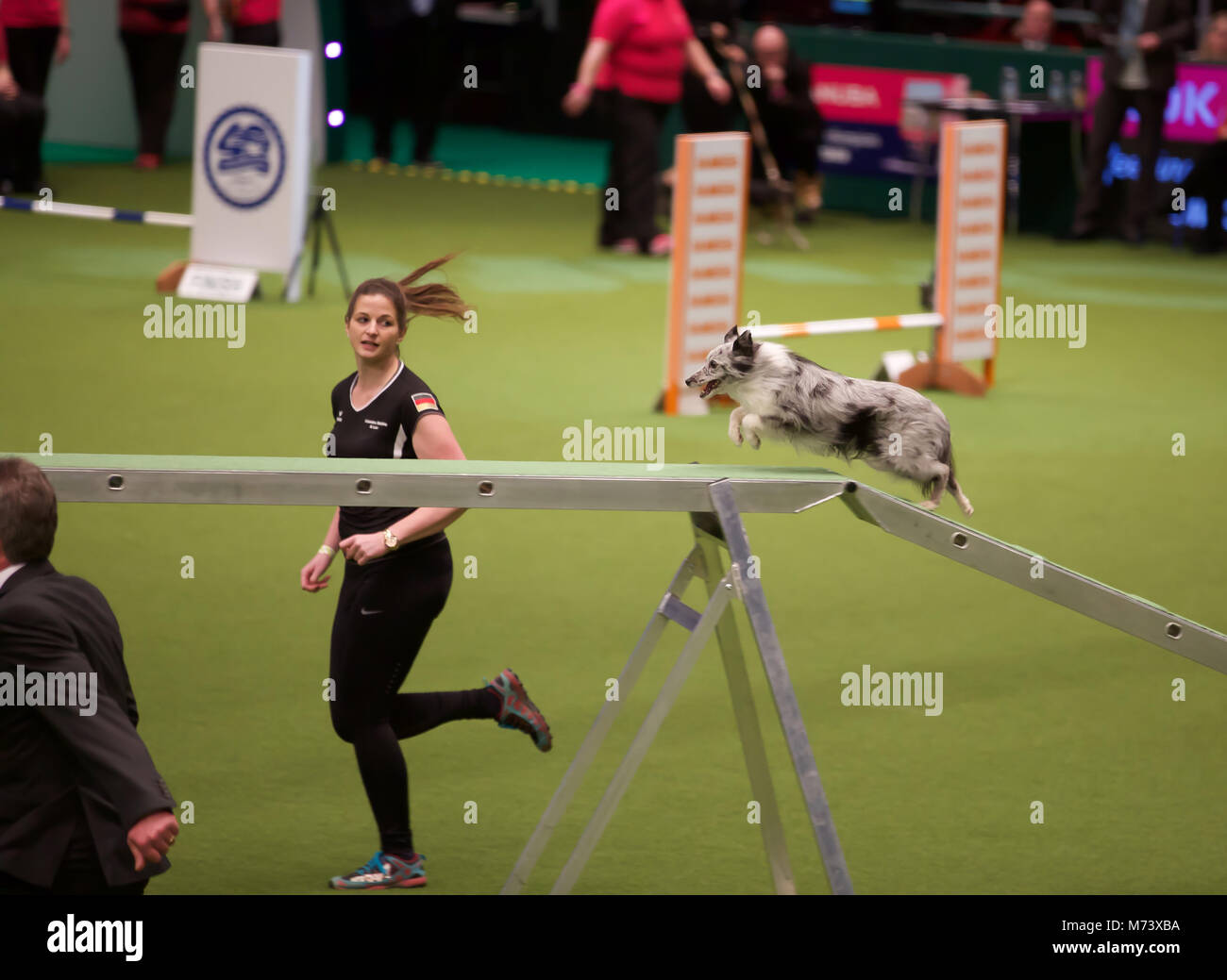 Birmingham,UK,8th March 2018,Dogs in the agility arena at Crufts which ...