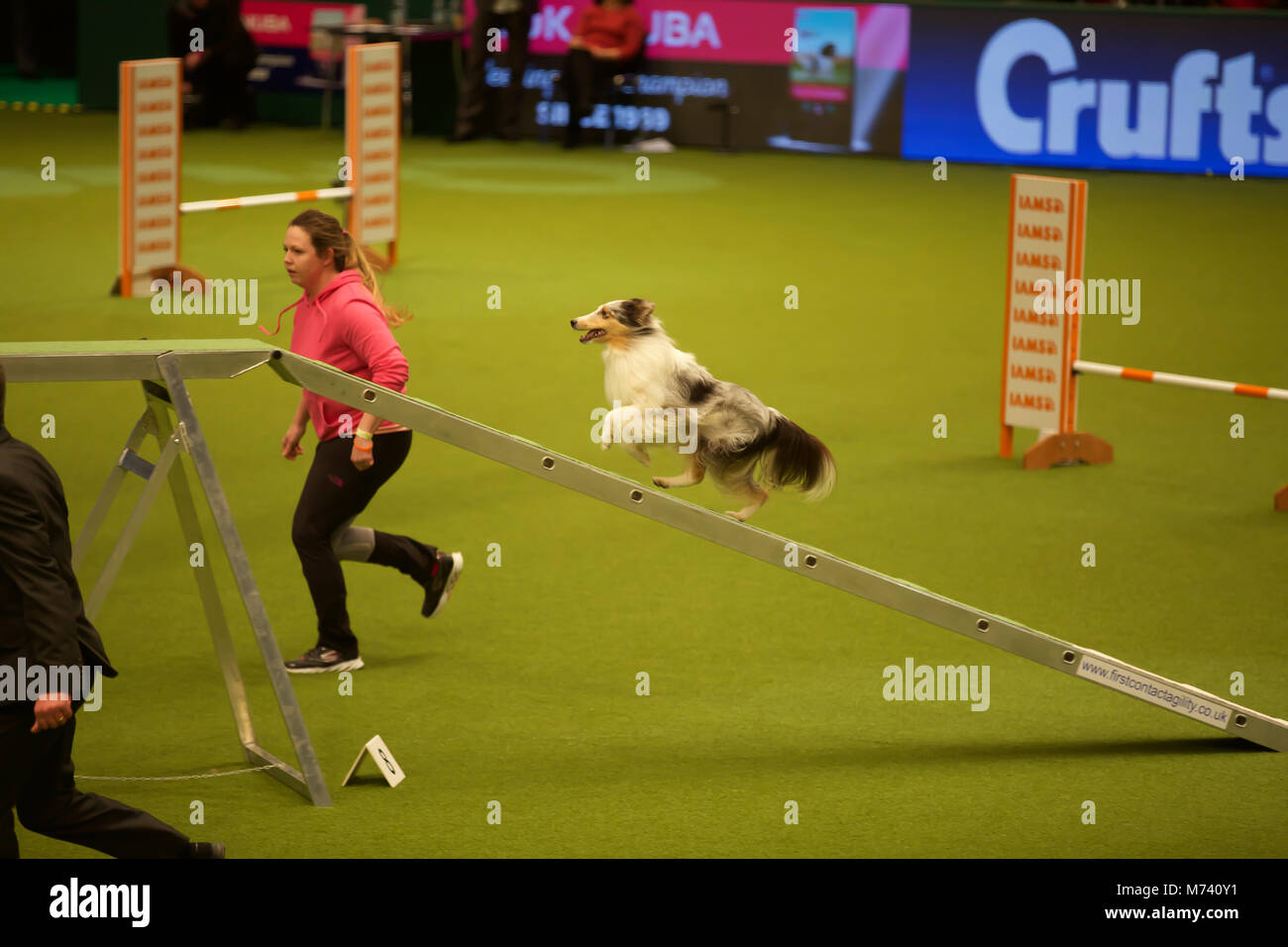 Birmingham,UK,8th March 2018,Crufts presented by the Kennel Club opens ...