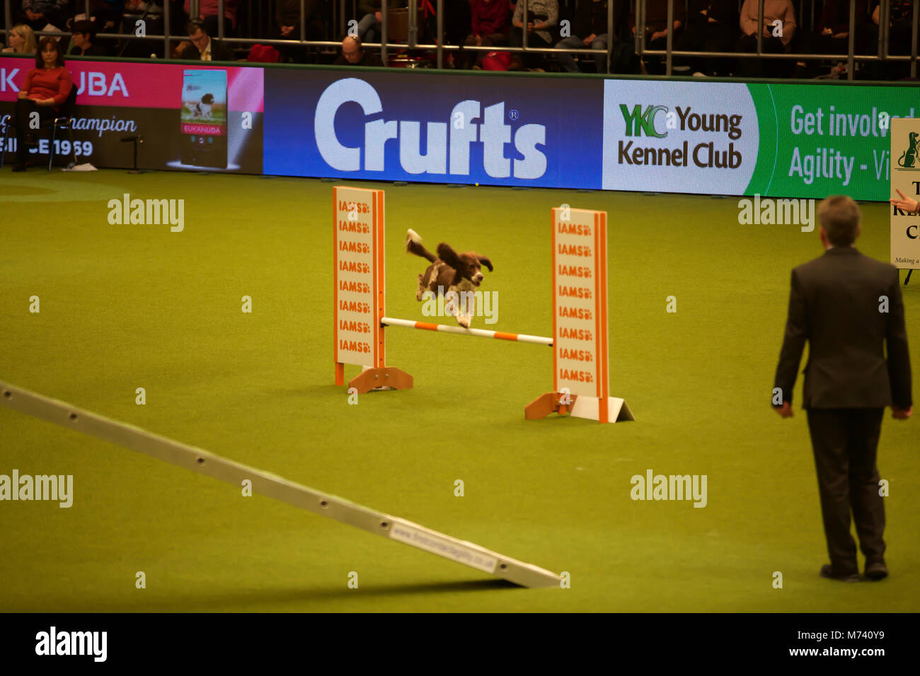 Birmingham,UK,8th March 2018,Crufts presented by the Kennel Club opens ...