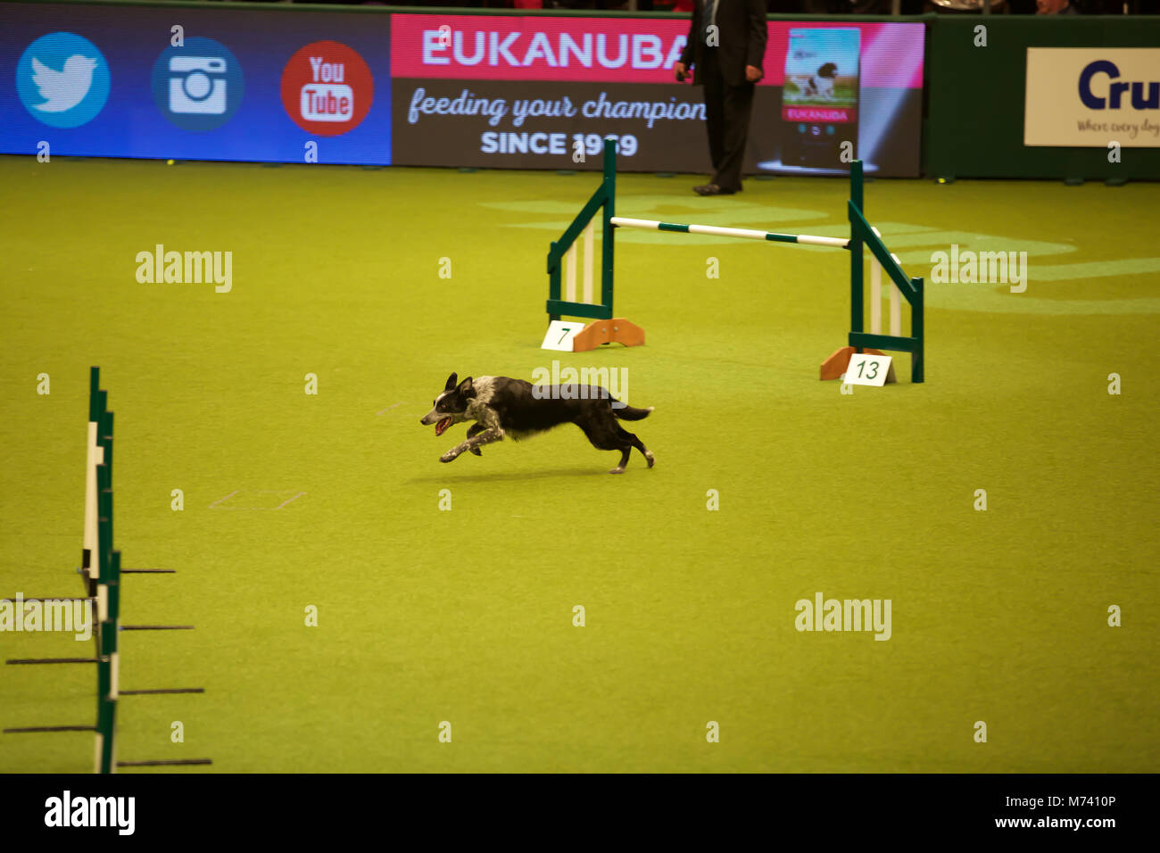 Birmingham,UK,8th March 2018,Crufts presented by the Kennel Club opens ...