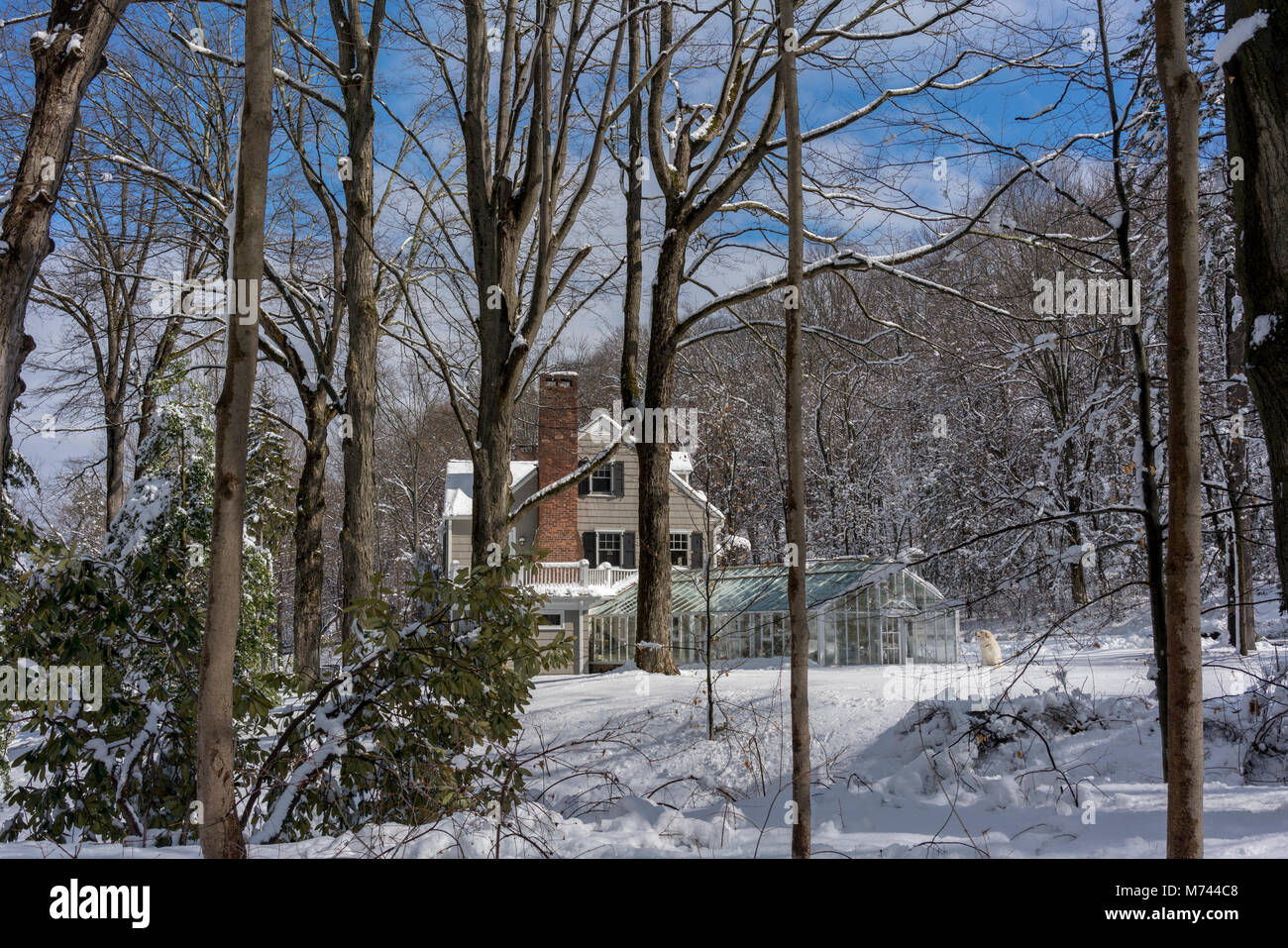 New york suburb wealth hi-res stock photography and images - Alamy