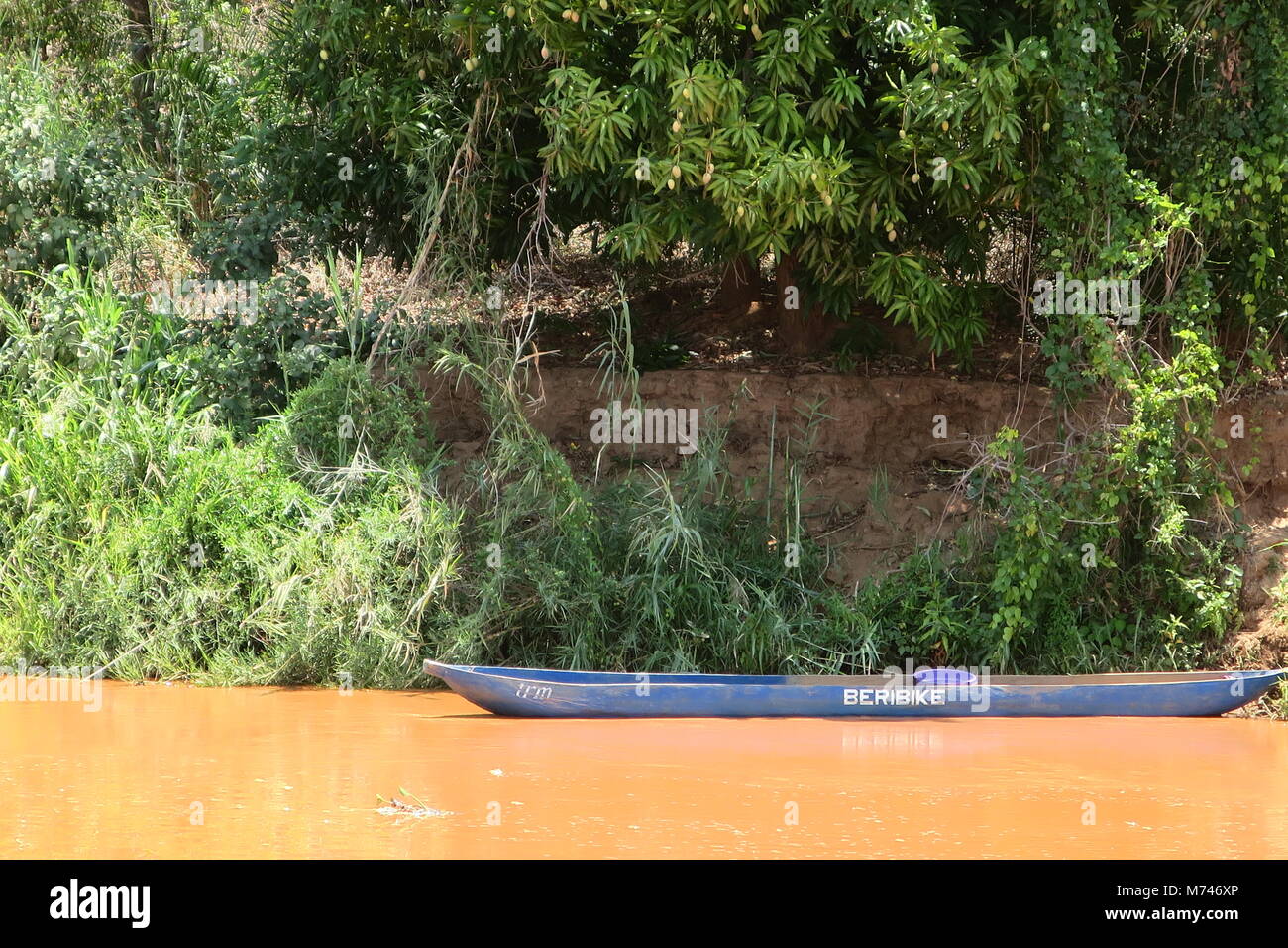 Pirogue, dugout, canoe on Tsiribihina river, Madagascar Stock Photo - Alamy