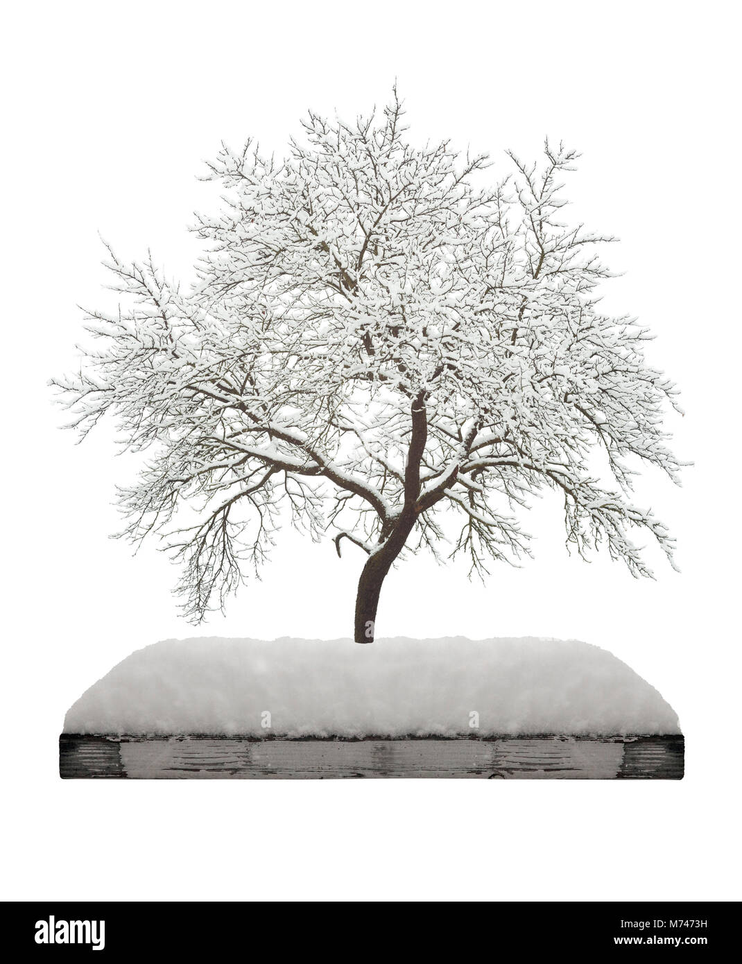 Snow on floor Cut Out Stock Images & Pictures - Alamy