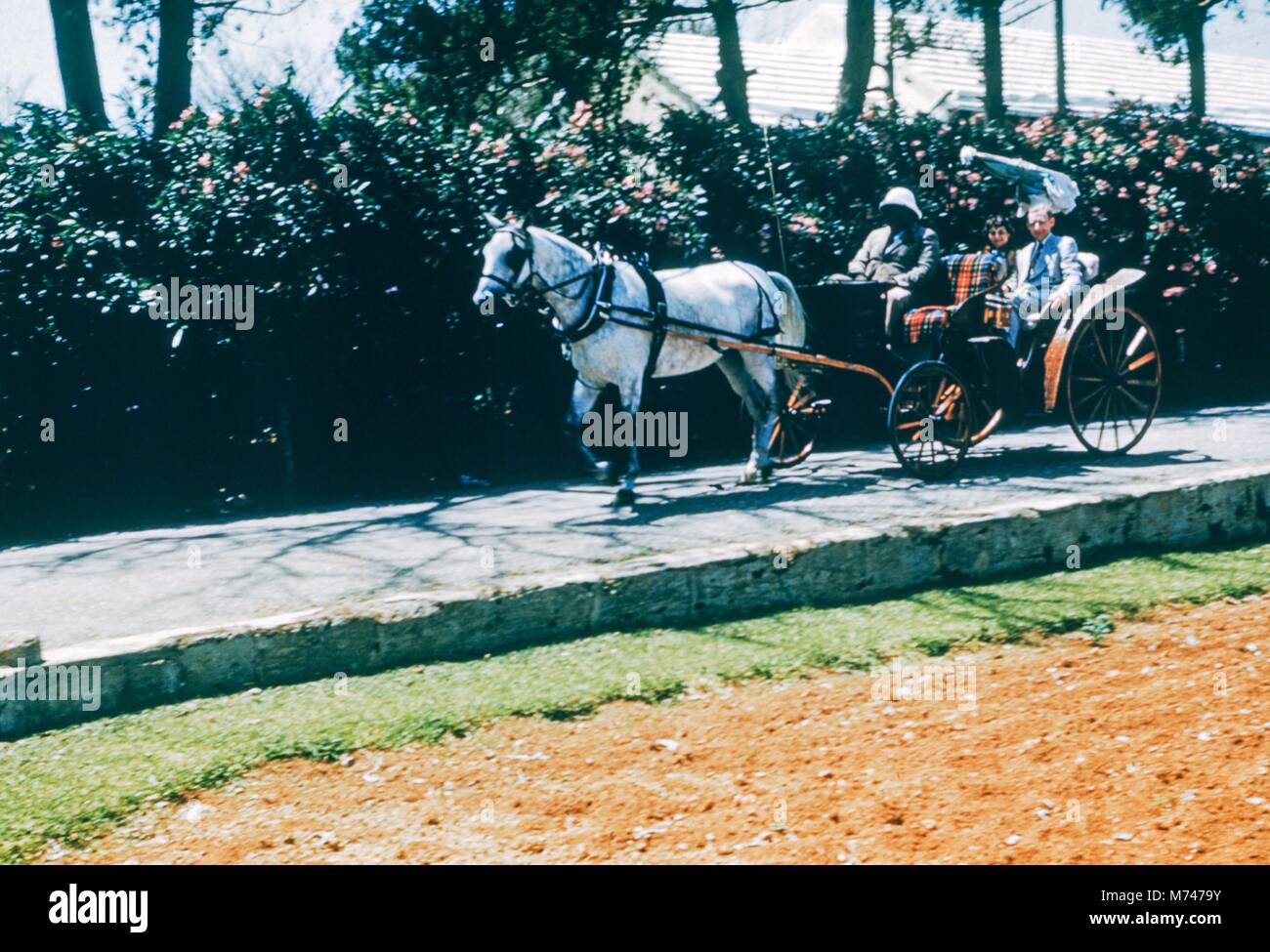 Horse drawn carriage 1900's hi-res stock photography and images - Alamy